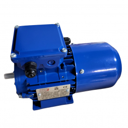KING PIN MOTOR- SWEEP MOTOR